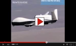 Distracted pilots - Lysette Offley